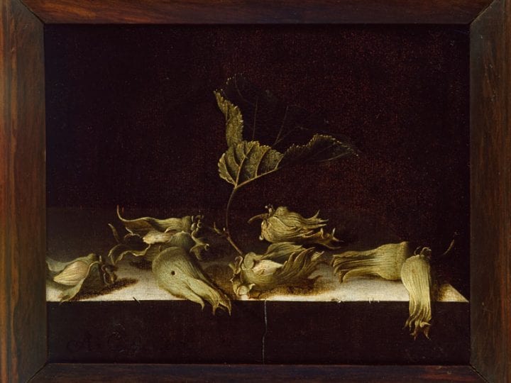 Sublime Still Life: On Adriaen Coorte, Elias van den Broeck, and the Je ...