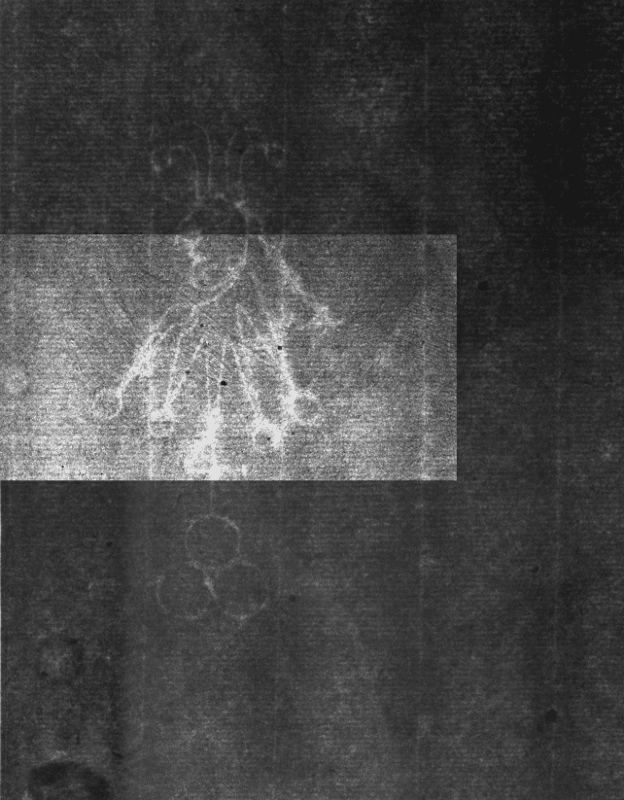 Decision Trees for Watermark Identification in Rembrandt's Etchings ...