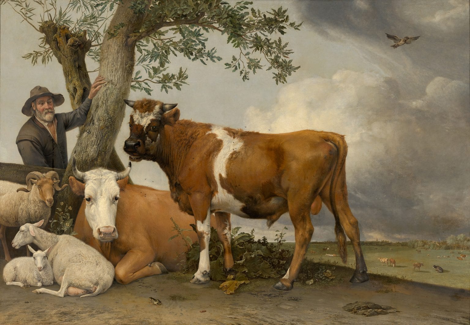 Potter's Bull: An Heirloom and a Gift - Journal of Historians of ...