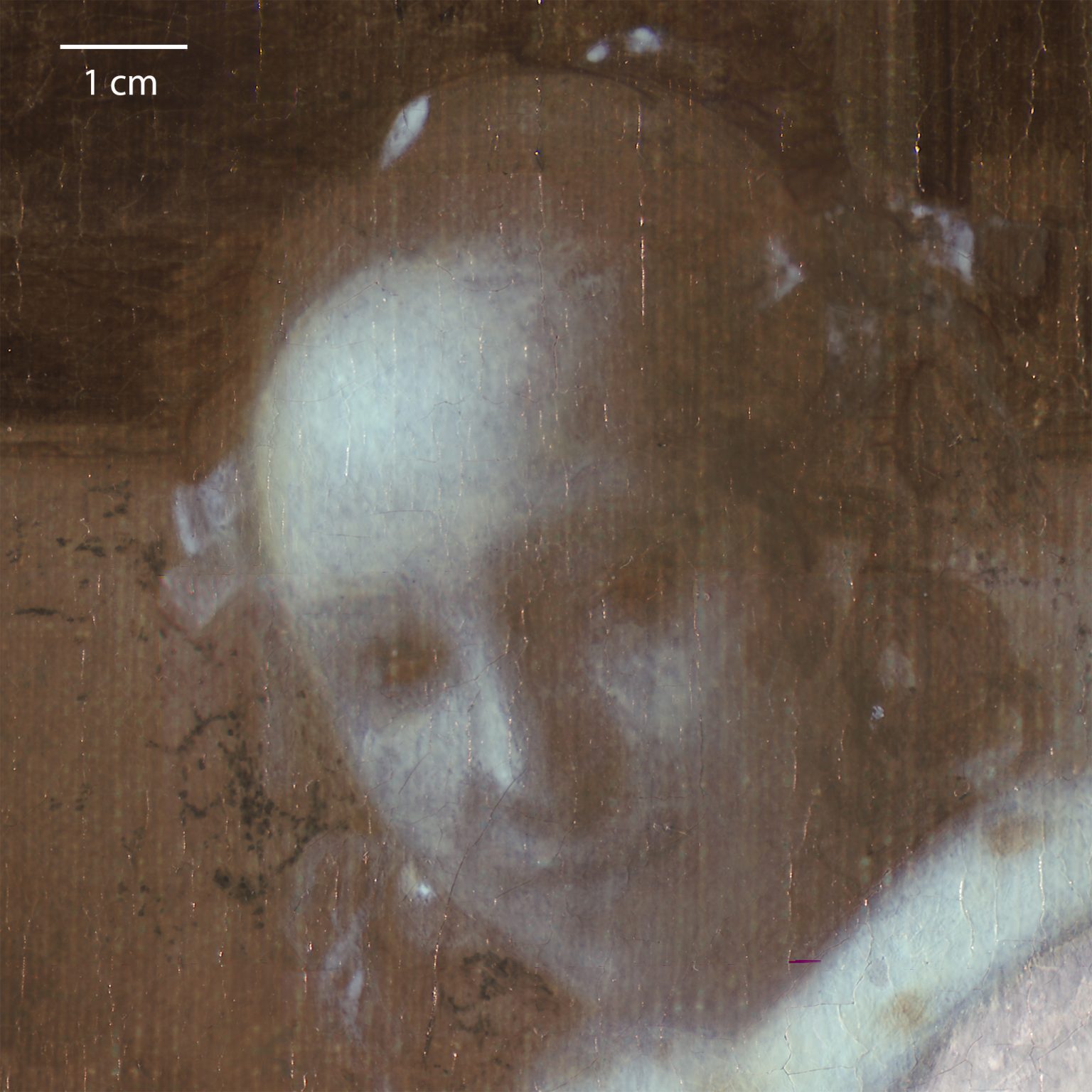 Experimentation and Innovation in Vermeer's Girl with the Red Hat: New ...