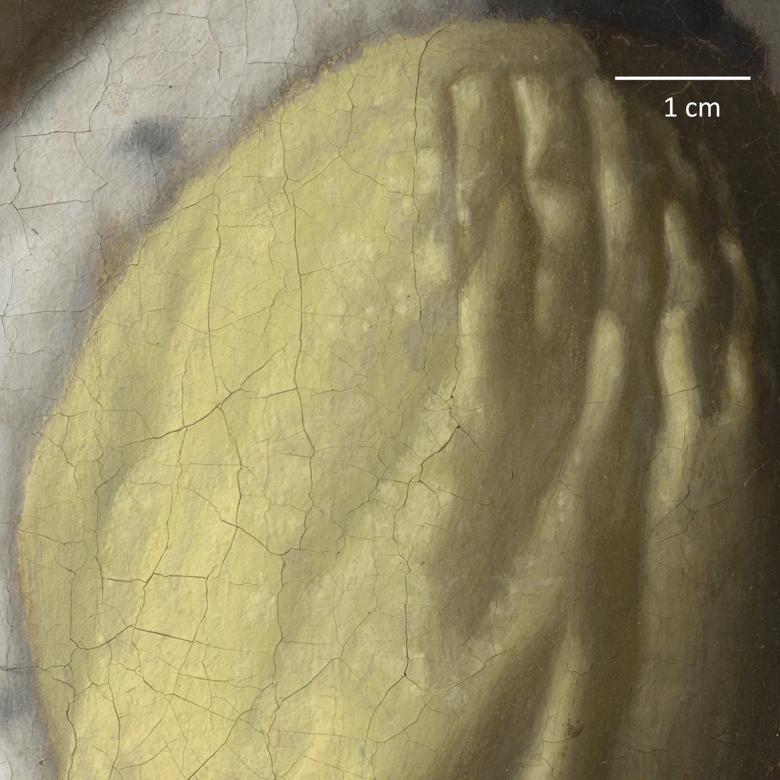 First Steps in Vermeer's Creative Process: New Findings from the ...